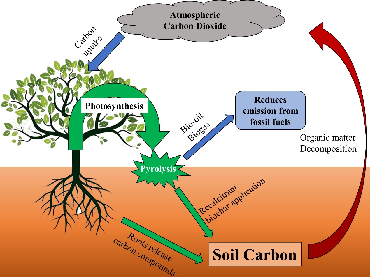 Sustainable soil amendment using waste-derived biochar against climate change | Center for Slope ...